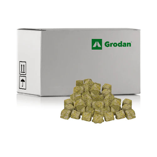 Grodan Grow Cubes 125L Box – Go Grow